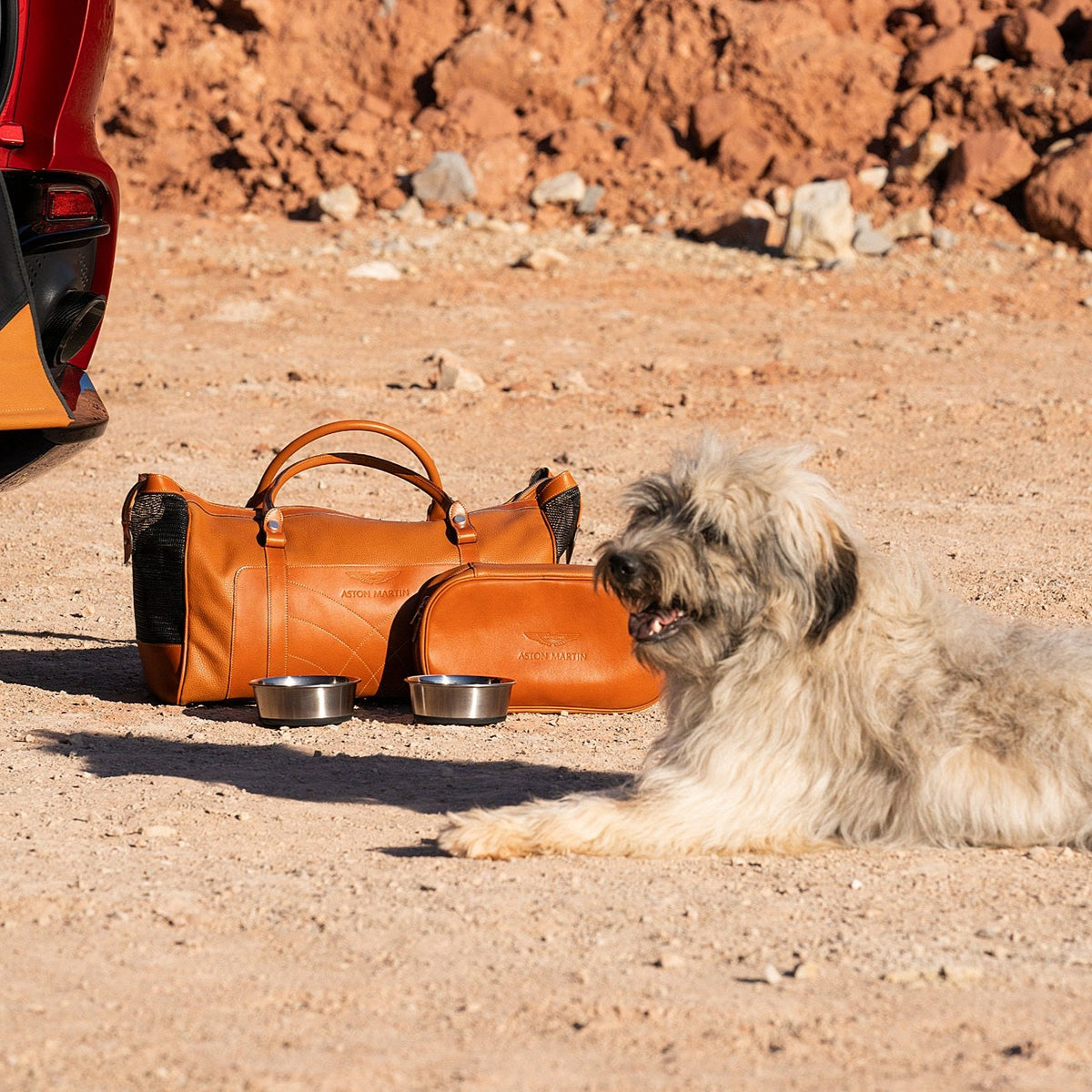 Aston Martin DBX Dog Accessories Kit — Miller Motorcars Boutique